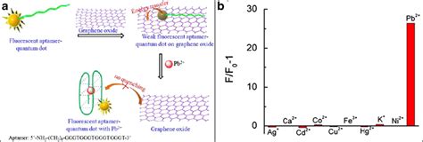 A Illustration Of The Operating Principle Of The Turn On Fluorescent Download Scientific