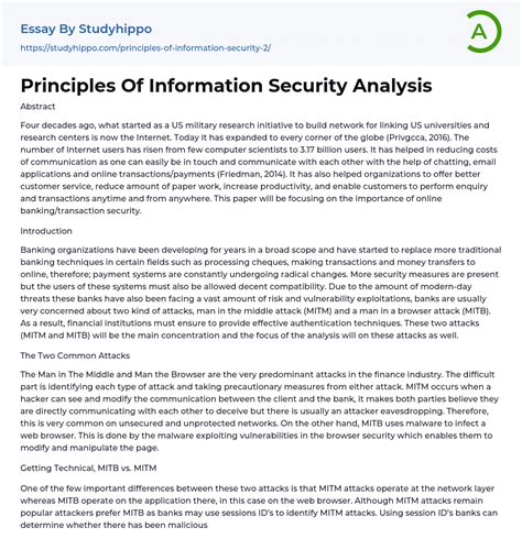 Principles Of Information Security Analysis Essay Example