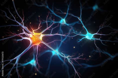 Brain Neural Neuronal Networks Neurons Axons And Dendrites Synapses Neurotransmitters Human