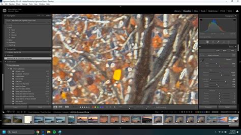 Lightroom Masking Artifacts Discussions Nature Photographers Network