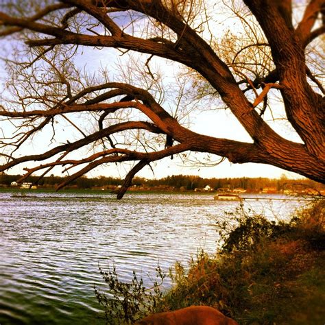WORSHIPOETRY Tumbleweeds And River Side Trees