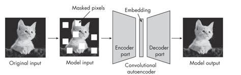 Self Prediction Vs Contrastive Learning Examples Analytics Yogi