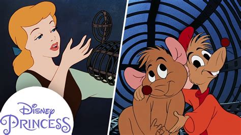 Names Of The Mice In Cinderella Explora Madeira