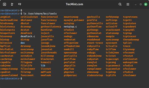 Bcc Dynamic Linux Tracing Tools For Network And Monitoring Fast Domains