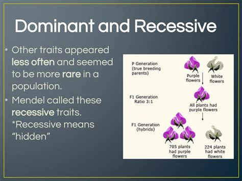 Genetics. - ppt download