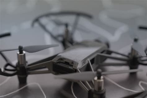 Sibling Inference Ferdinand Doblhammer