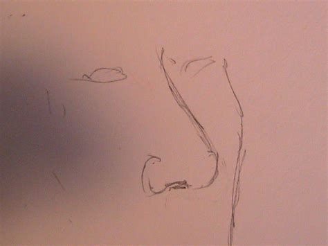 Simple Art Lessons How To Draw Like A Pro How To Draw A Nose