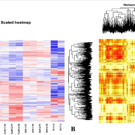 scaled heatmap a and tom plot b of differential expressed genes