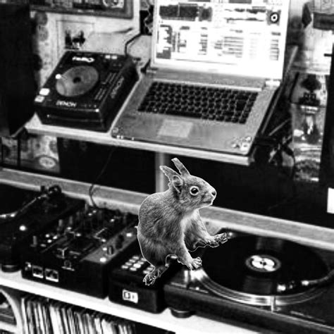 The Life Of A Squirrel George The Infinite