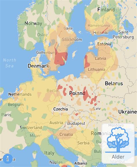 Spring In Europe Alder Hazel And Birch Pollen Airmine