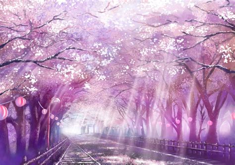 Sakura Anime Wallpapers Top Free Sakura Anime Backgrounds