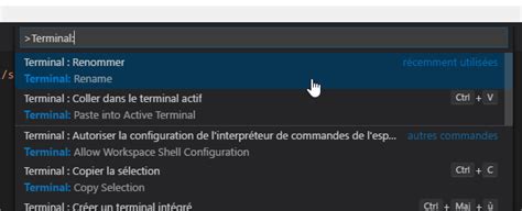 Give A Name To A Terminal Session Issue Microsoft Vscode GitHub