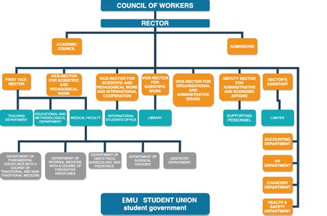 EMU Structure Of EMU