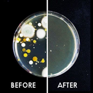 The Pro Hygiene Collection Beforeafter Makeup Antibacterial Spray