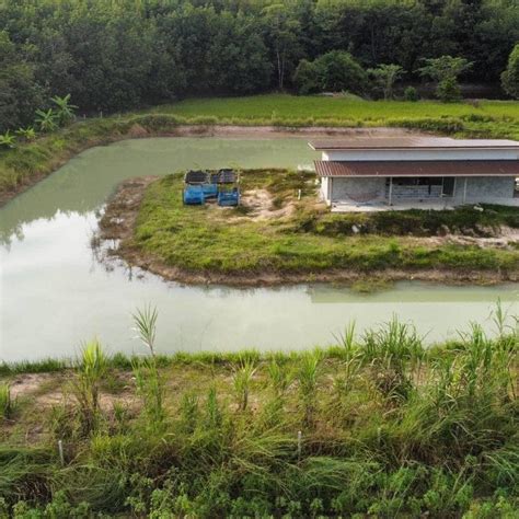 สวน กัลยกร