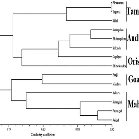 figure caption fig 1 dendrogram based on upgma unweighted pair group