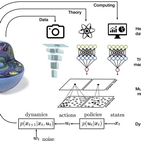 Data Driven Machine Learning For Multiscale Modeling Of Biomedical
