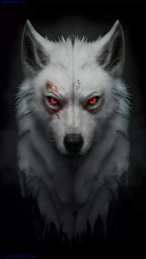 تصویر زمینه گرگ سفید