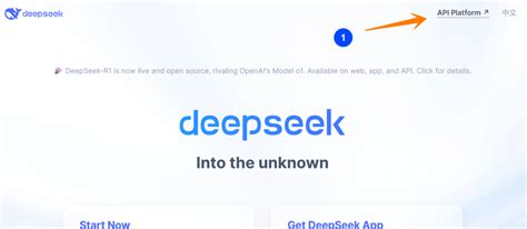 DeepSeek API Beginner Tutorial TestingDocs