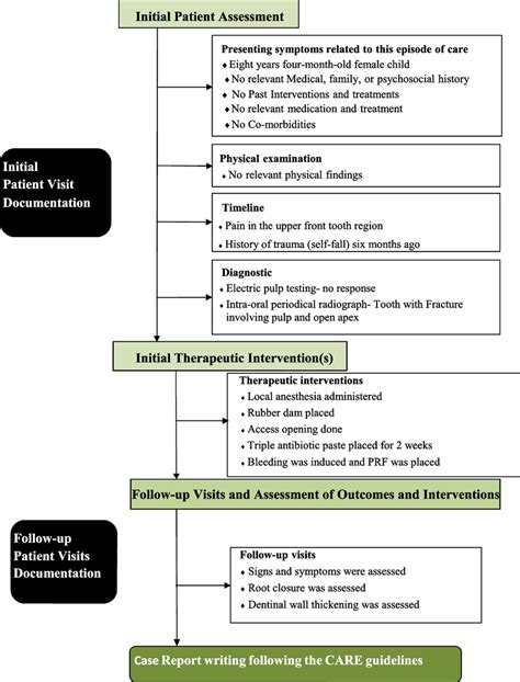 Flow Diagram For The Revascularization Procedure Following The Care Download Scientific Diagram