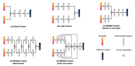 Various Sensor Fusion Schemes For Neural Networks Classified By