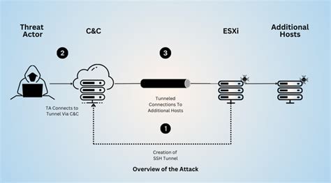 ransomware targeting esxi hypervisors leeshanok network solutions