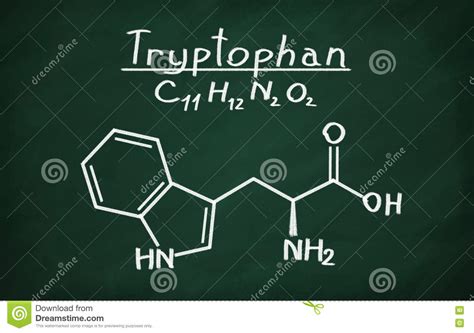 Structural Model Of Tryptophan Stock Illustration Illustration Of Symbol Drug