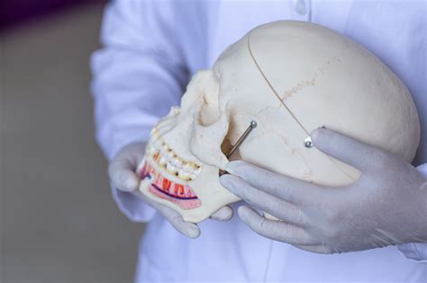 연구 진단 캐스트 및 치과 실험실에서 치과 석고 모델의 캐스팅 개념에 대한 스톡 사진 및 기타 이미지 개념 건강 진단