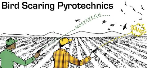 Double Barrel Launcher For Firing Bird Scaring Pyrotechnics Sutton