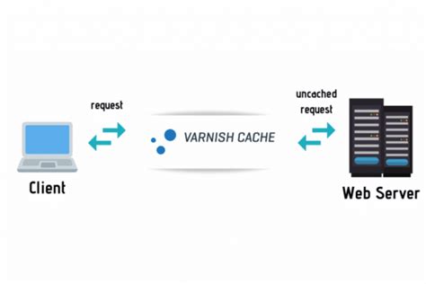 Error 54113 Varnish Cache Server