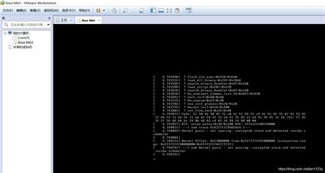 在vmware workstation中安装linuxmint 19出现[end kernel panic not syncing