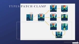 Patch Clamp Method PPTX