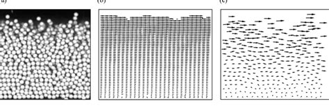 Pattern Based Particle Velocimetry Methods A Example Of Image