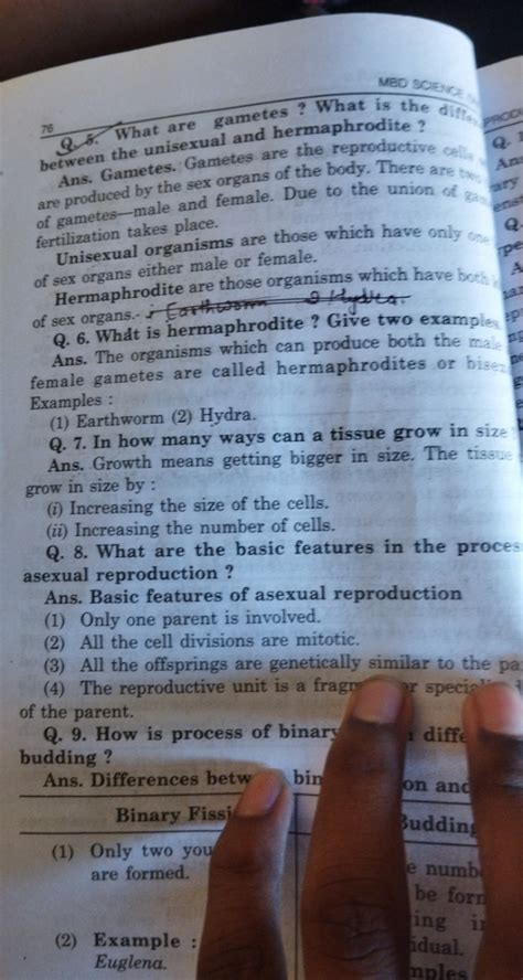 Med Scievice76q 8 What Are Gametes What Is The Diffs Between The Un