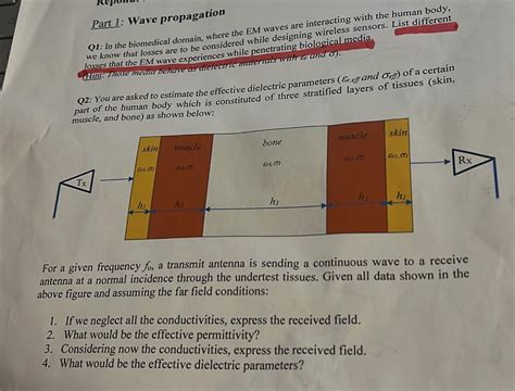 Solved Part 1 Wave Propagation Q1 In The Biomedical Chegg Com