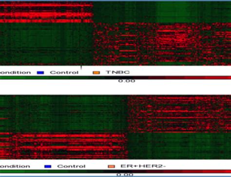 Normalization Of RNA Seq Data Exercises RNA Seq Blog