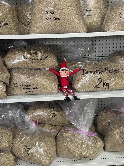 Nutrien Why Did Nelly The Nutrien Elf Get Into The Grass Seed