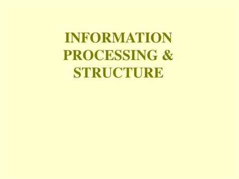 Ppt Information Processing And Structure Powerpoint Presentation Free
