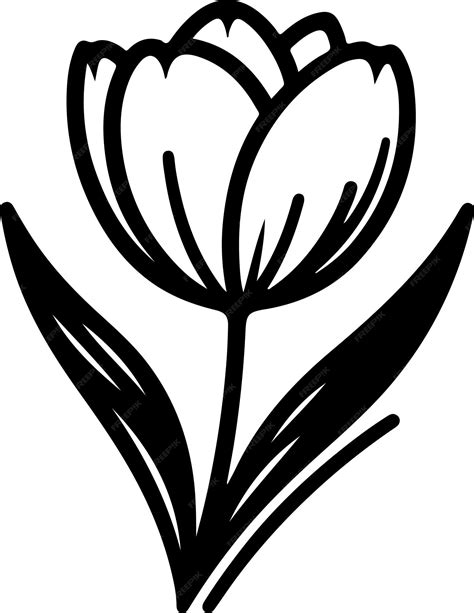Premium Vector Black Outline Tulip Vector Illustration