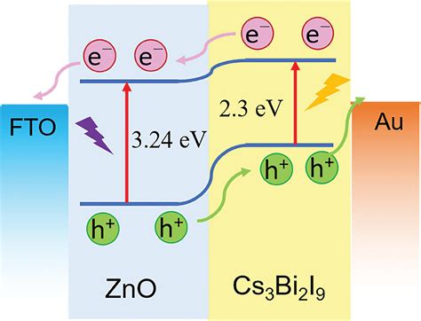 Self‐powered Cs3bi2i9zno Heterojunction Photodetector With Dual‐band
