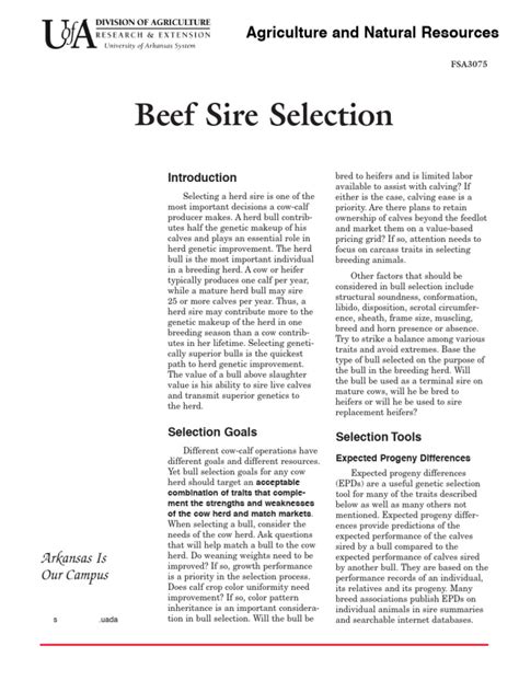 Beef Sire Selection Pdf Cattle Zygosity