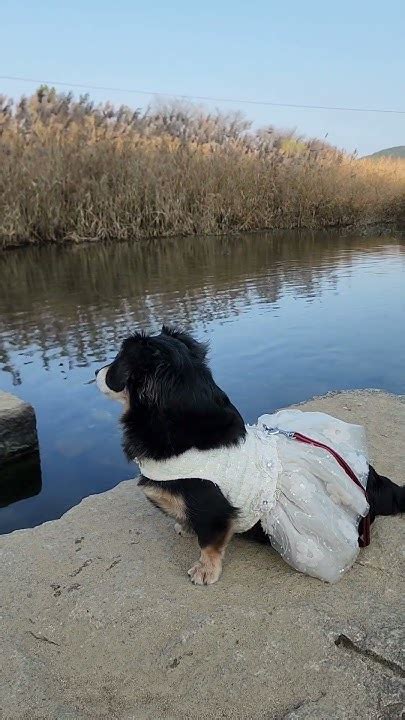 술한잔해요 날씨가 쌀쌀하니까 Youtube