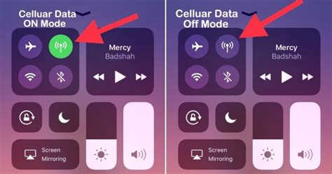 How To Turn Off Cellular Data On IPhone Pro Max