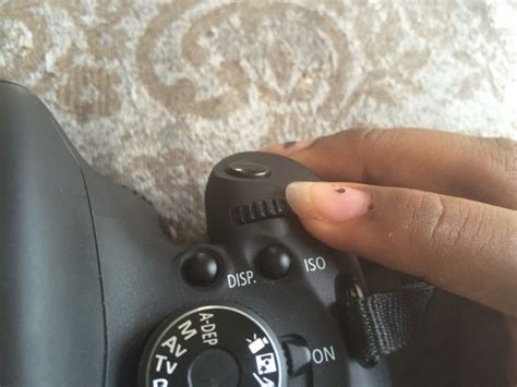 How To Use Your DSLR Part Program Mode CutieStare