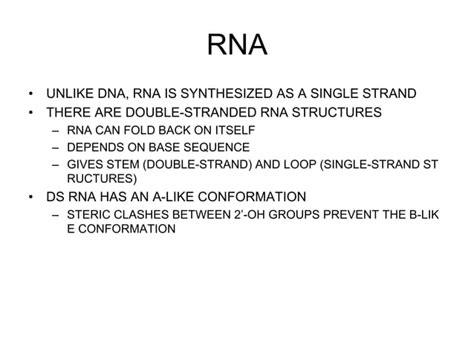 Nucleotides 1 Pptx Presentation On Nucleotides Structure Ppt