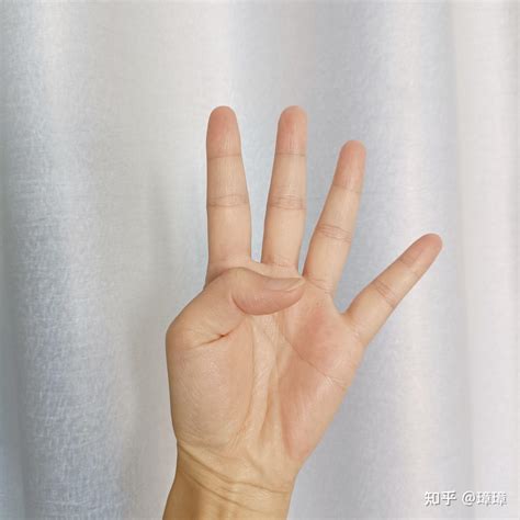 今天教大家 手势 知乎