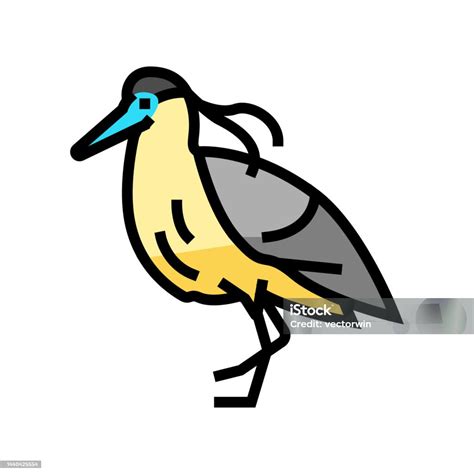 모자를 씌운 왜가리 새 이국적인 색 아이콘 벡터 일러스트 레이 션 귀여운에 대한 스톡 벡터 아트 및 기타 이미지 귀여운 깃털 꽃 식물 Istock