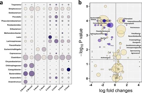 Microbial Composition At Genus Level A Bubble Plot Of The Average Download Scientific
