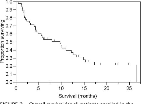 Figure 2 From Phase Ii Trial Of Temozolomide And Irinotecan As Second