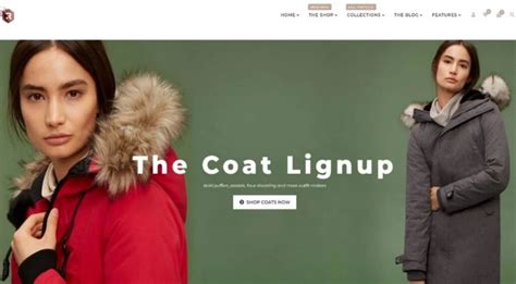 20 Best Multi Vendor Wordpress Themes For 2025
